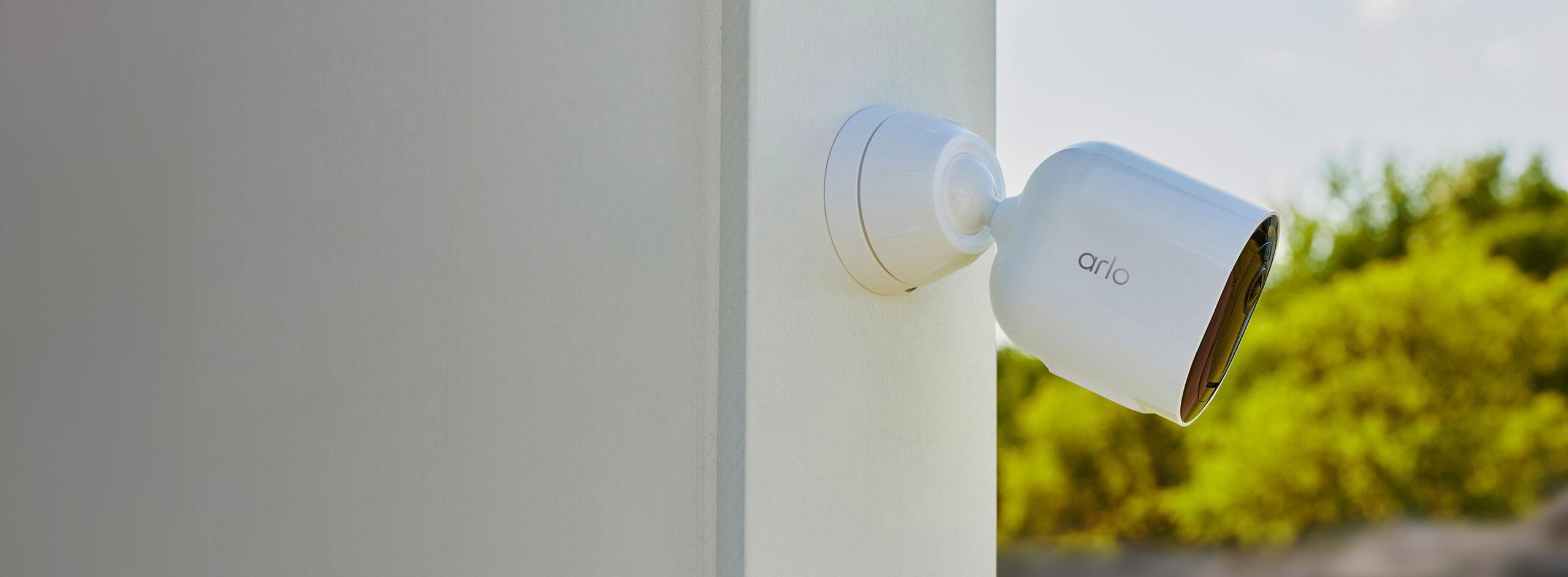 Fallen Tree In Your Driveway? Here’s What To Do. | Arlo